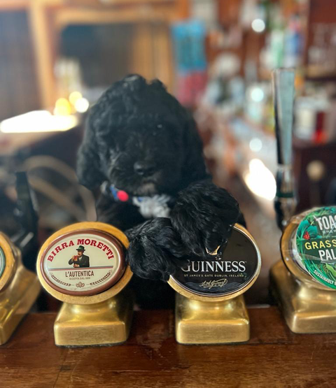 Gallery - Hawkley Inn, Petersfield, Hampshire.