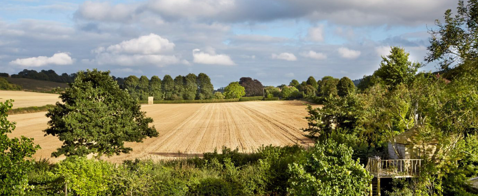 Discover - Hawkley Inn, Petersfield, Hampshire.